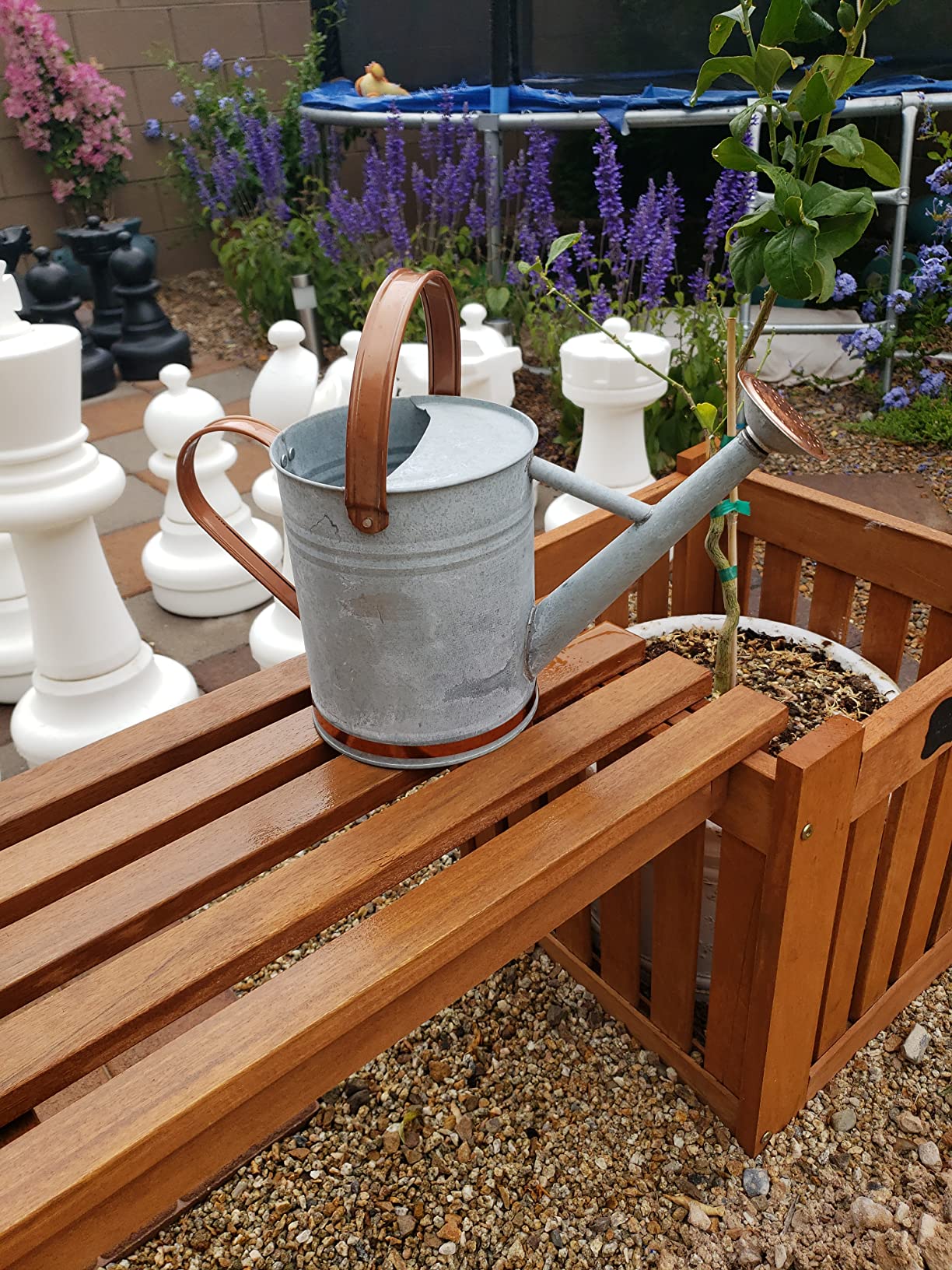Amazon.com : 4L Watering Can Galvanized Steel Watering Pot with ...