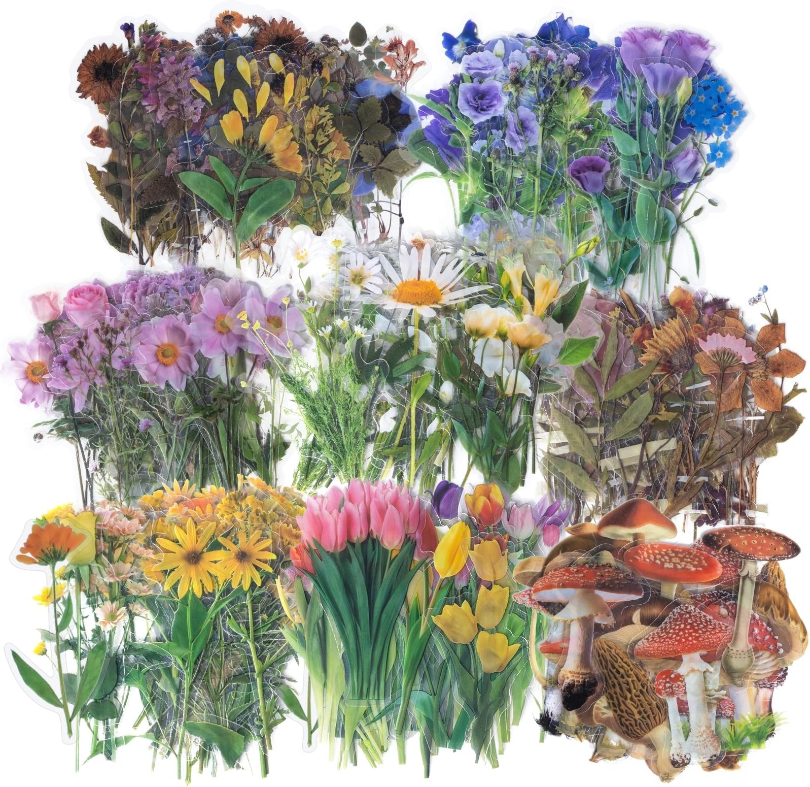 Amazon.com: 100Pcs Small Green Leaf Stickers, Obujopal Nature Plant ...