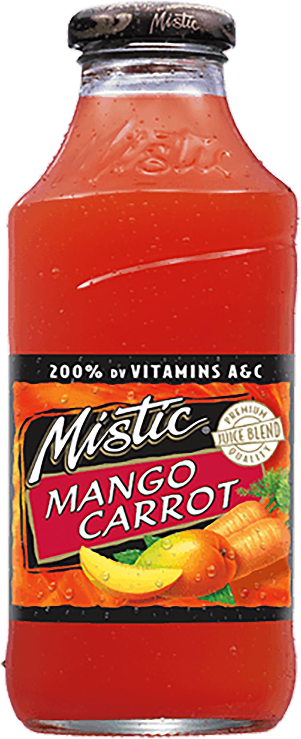 Amazon.com: Mistic Bahama Blueberry Juice, 16 fl oz (24 Glass Bottles ...