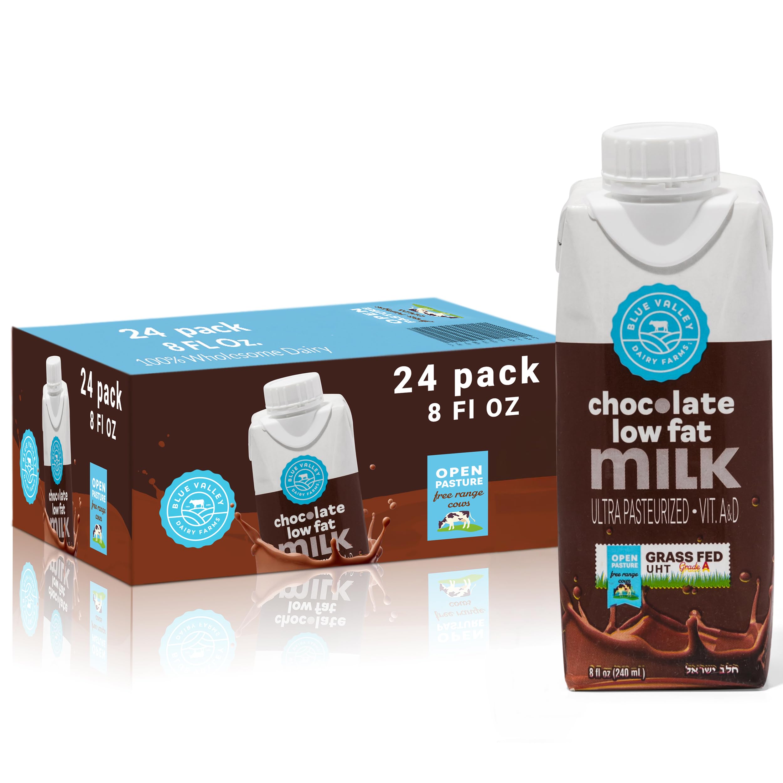 Chocolate Milk Carton