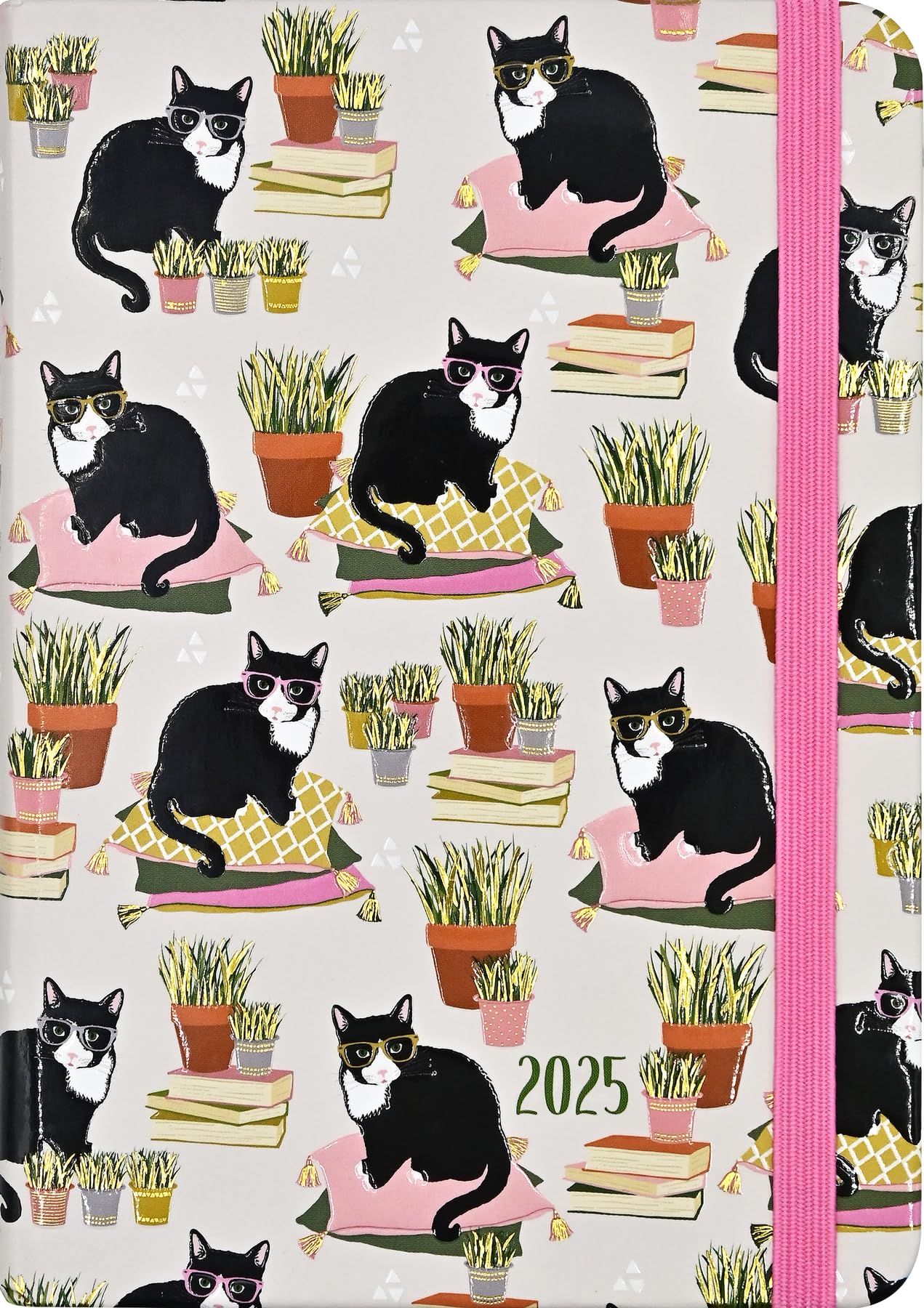 2025 Smarty Cats Weekly Planner (16 months, Sept 2024 to Dec 2025 ...