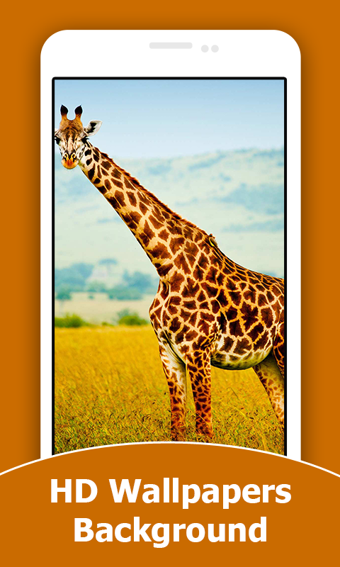 Animal HD Wallpapers - App on Amazon Appstore
