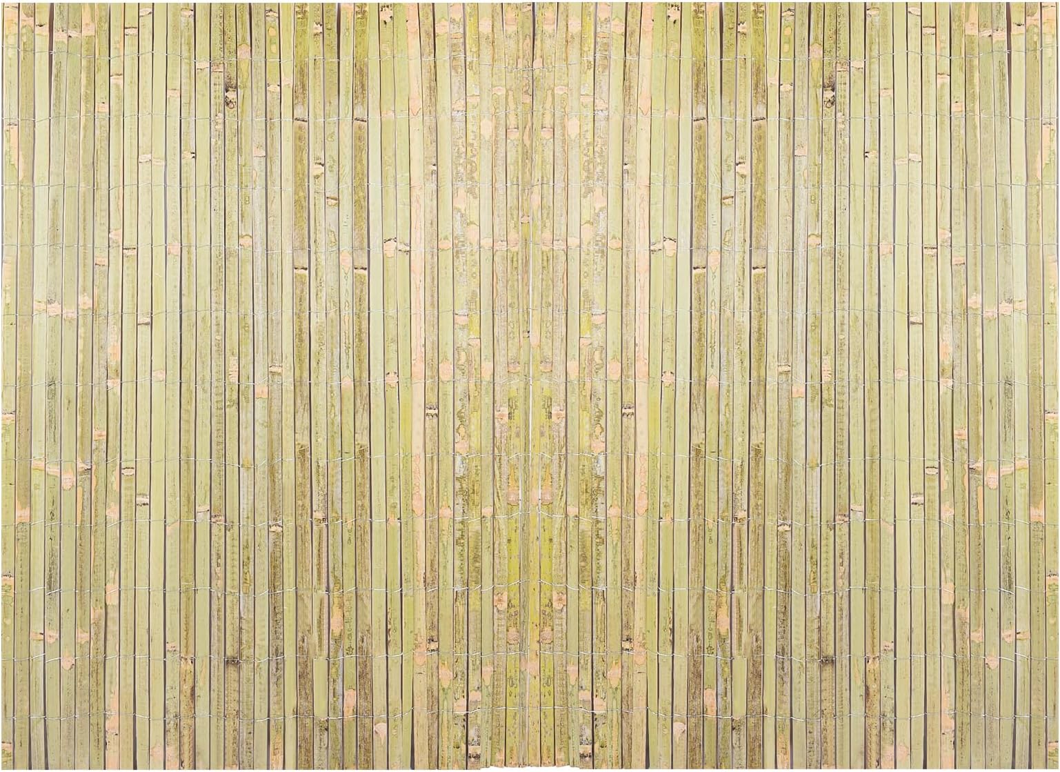 Amazon.com: VEVOR Natural Reed Fencing, 4 ft x 16.4 ft, 2 Pack Reed ...