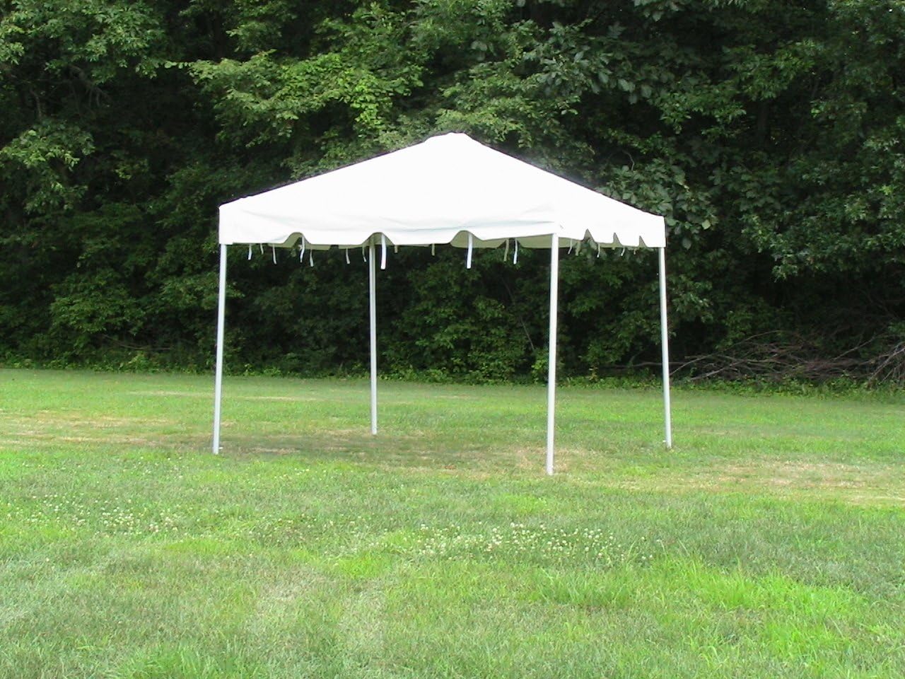 Amazon.com: 15' X 15' Celina Frame Tent/Canopy Tent : Patio, Lawn & Garden