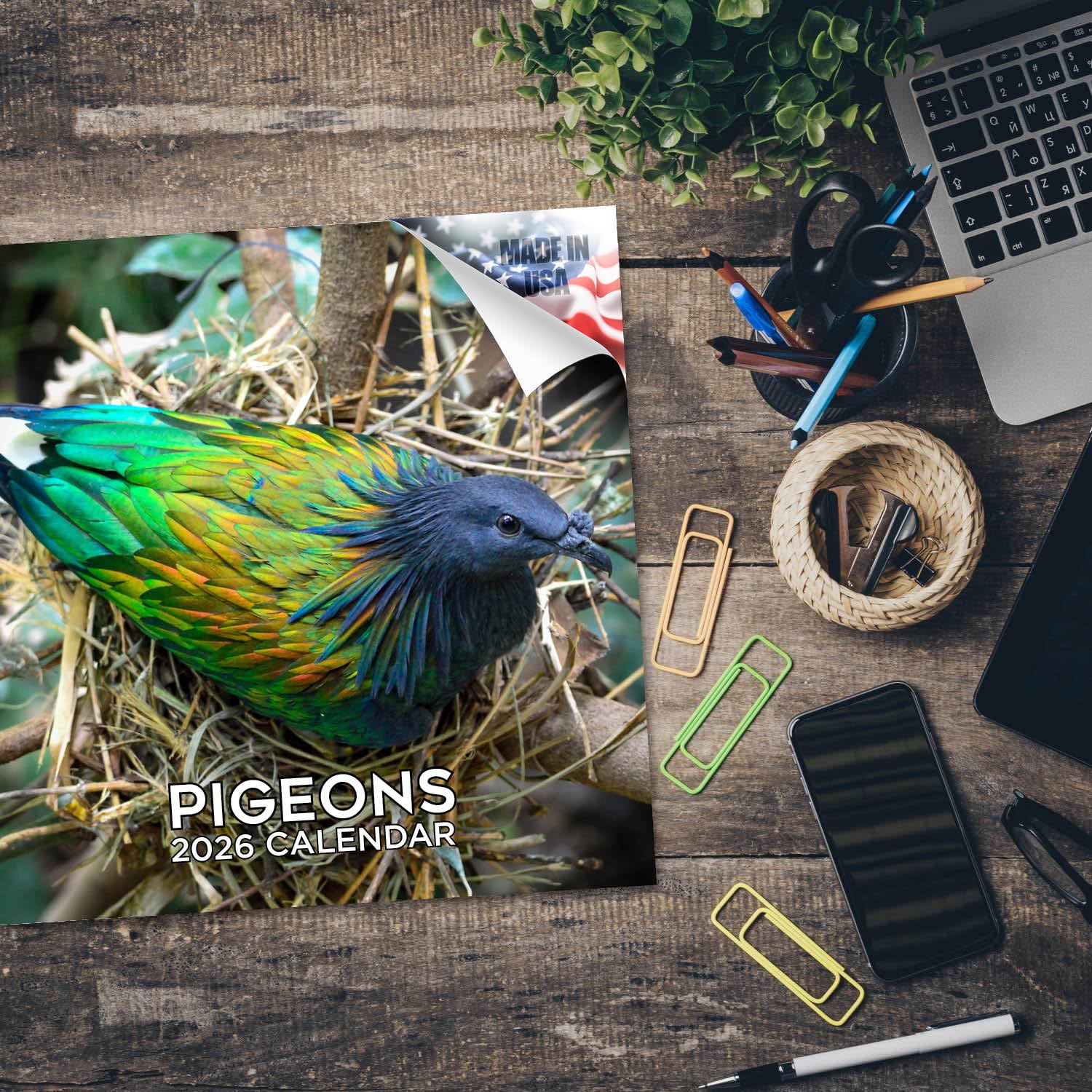 Snapklik.com : 2026 Pigeons - Bird Watcher Monthly Wall Calendar, 16 ...