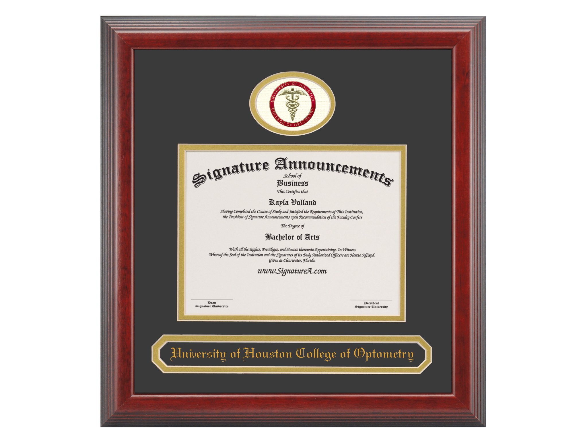 University Of Houston Diploma University Of Texas At Austin