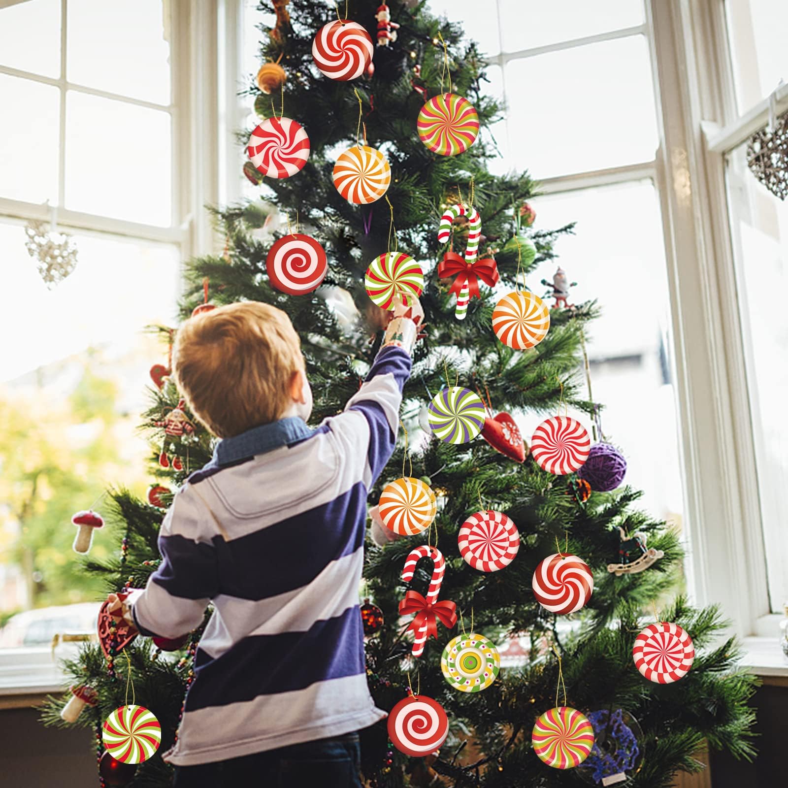 Candy Cand Christmas Tree Miniature Candy Cane Christmas Tree In A