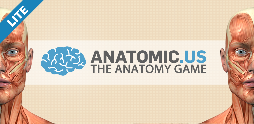 MUSCULAR ANATOMY GAME LITE - App on Amazon Appstore