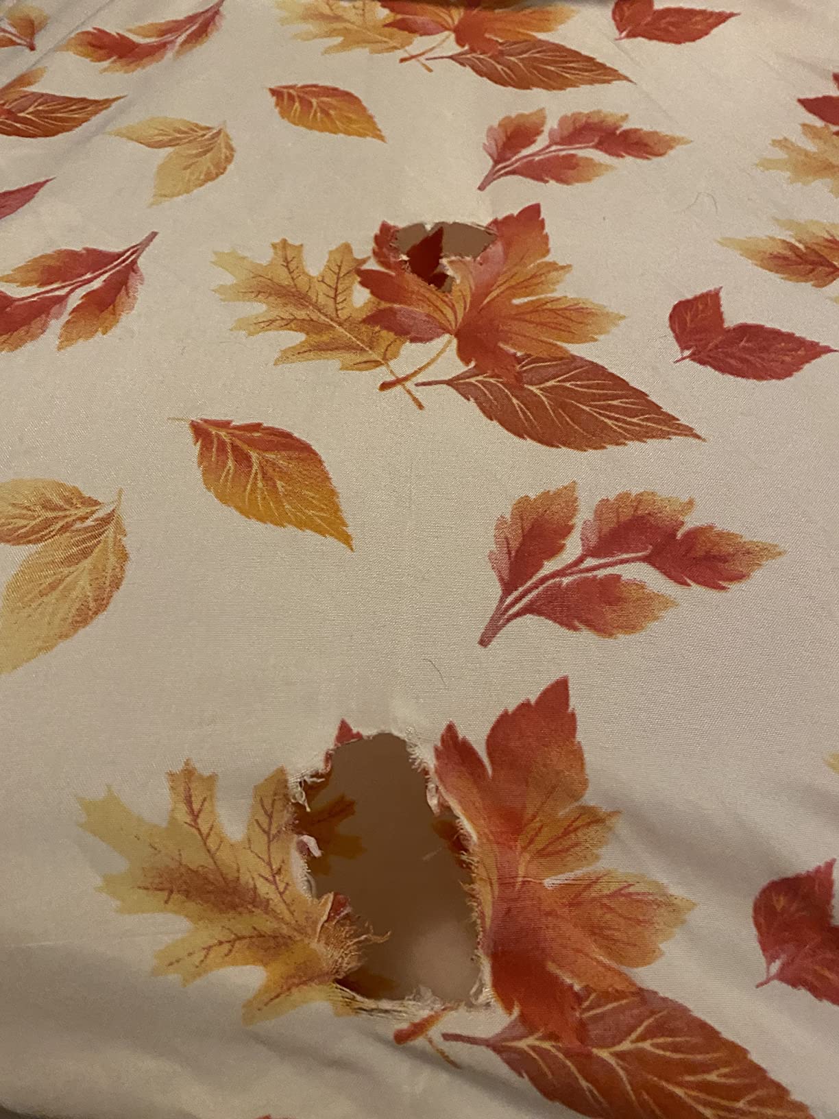 Amazon.com: Collections Etc Vibrant Fall Leaves Sheets, Set of 4 ...