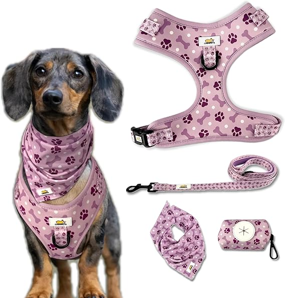 Amazon.com : Easy-Walk Dog Harness and Leash, Large Easy-Walk Dog ...