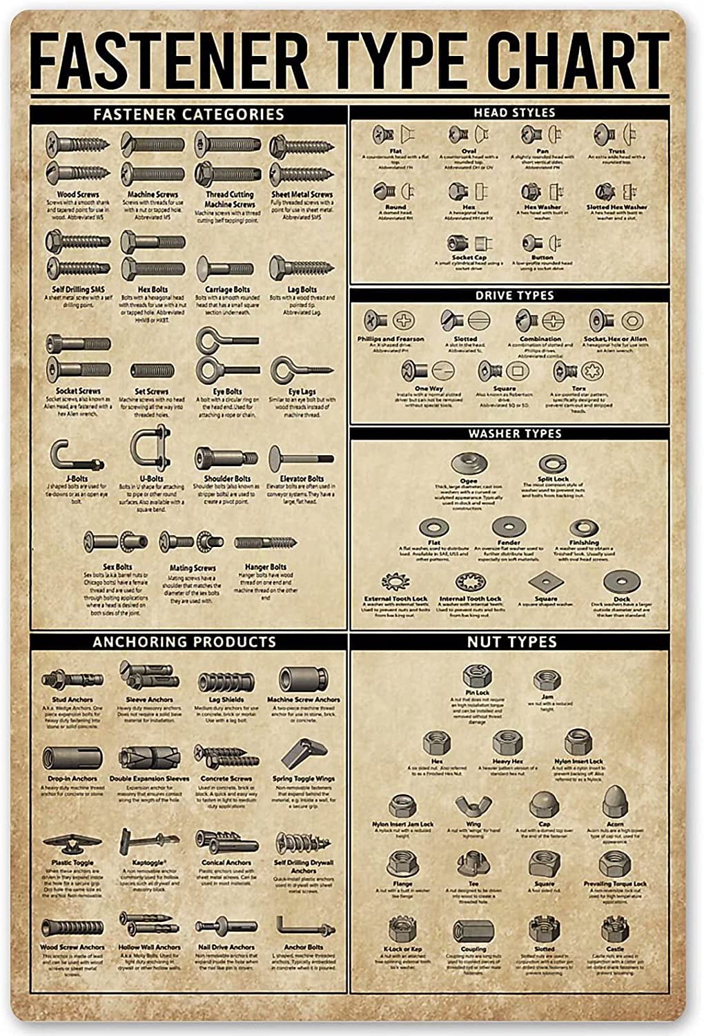 Amazon.com: Fastener Type Chart Posters Tool Knowledge Metal Signs Room ...
