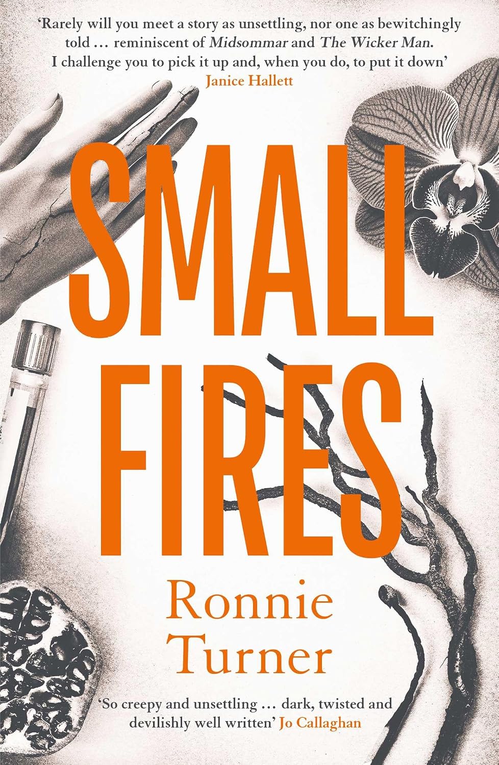 Amazon.com: Small Fires: 9781916788473: Turner, Ronnie: Books