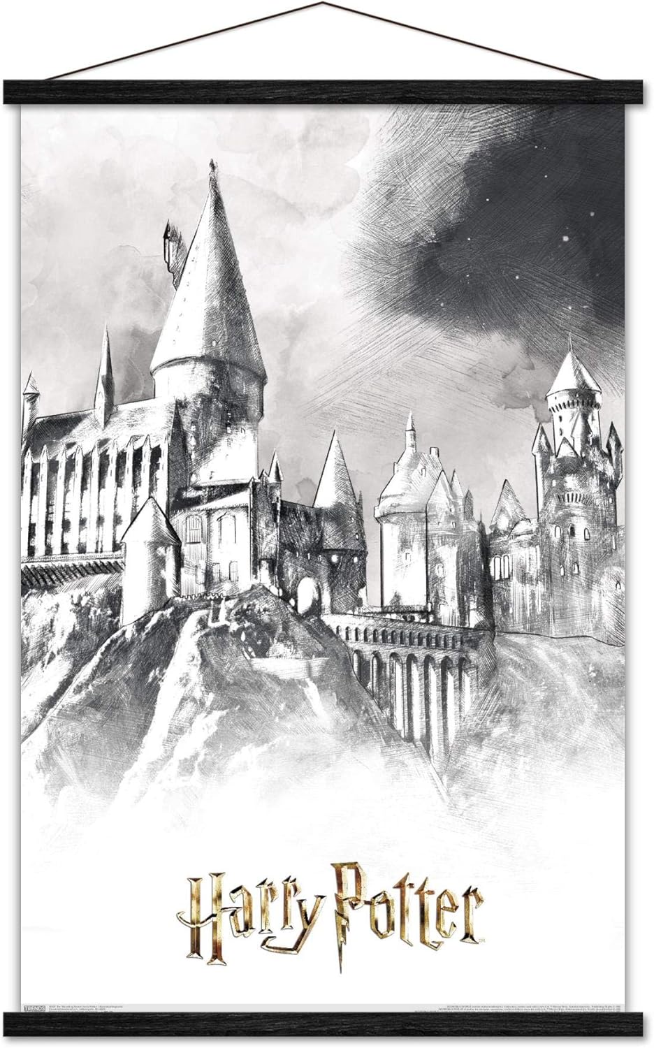 Amazon.com: Trends International The Wizarding World: Harry Potter ...