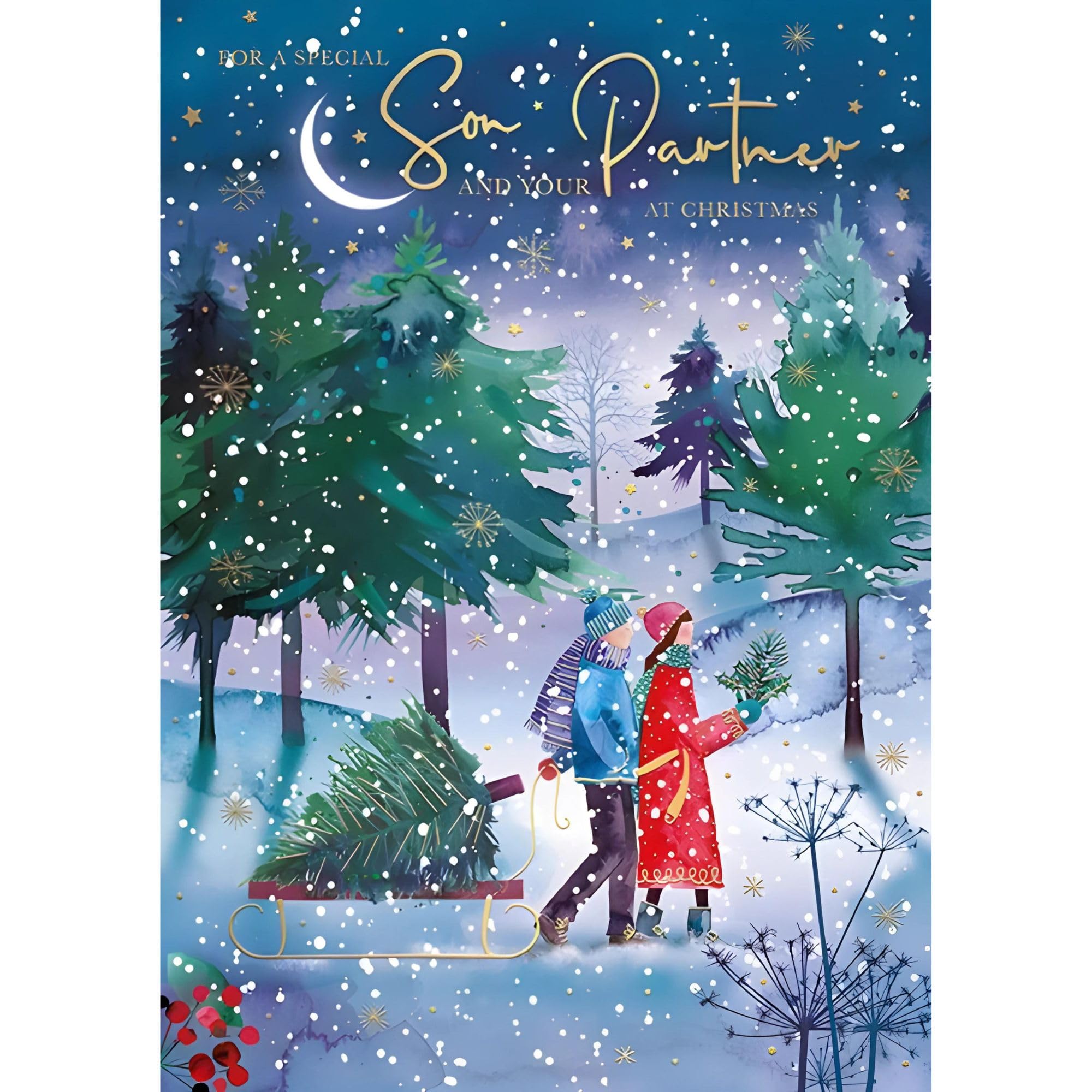 Son and Your Partner Christmas Card - Christmas Tree and Sledge Design ...