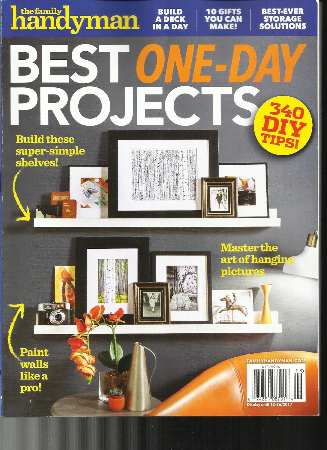 Amazon.com: THE FAMILY HANDYMAN MAGAZINE BEST ONE-DAY PROJECTS ISSUE ...