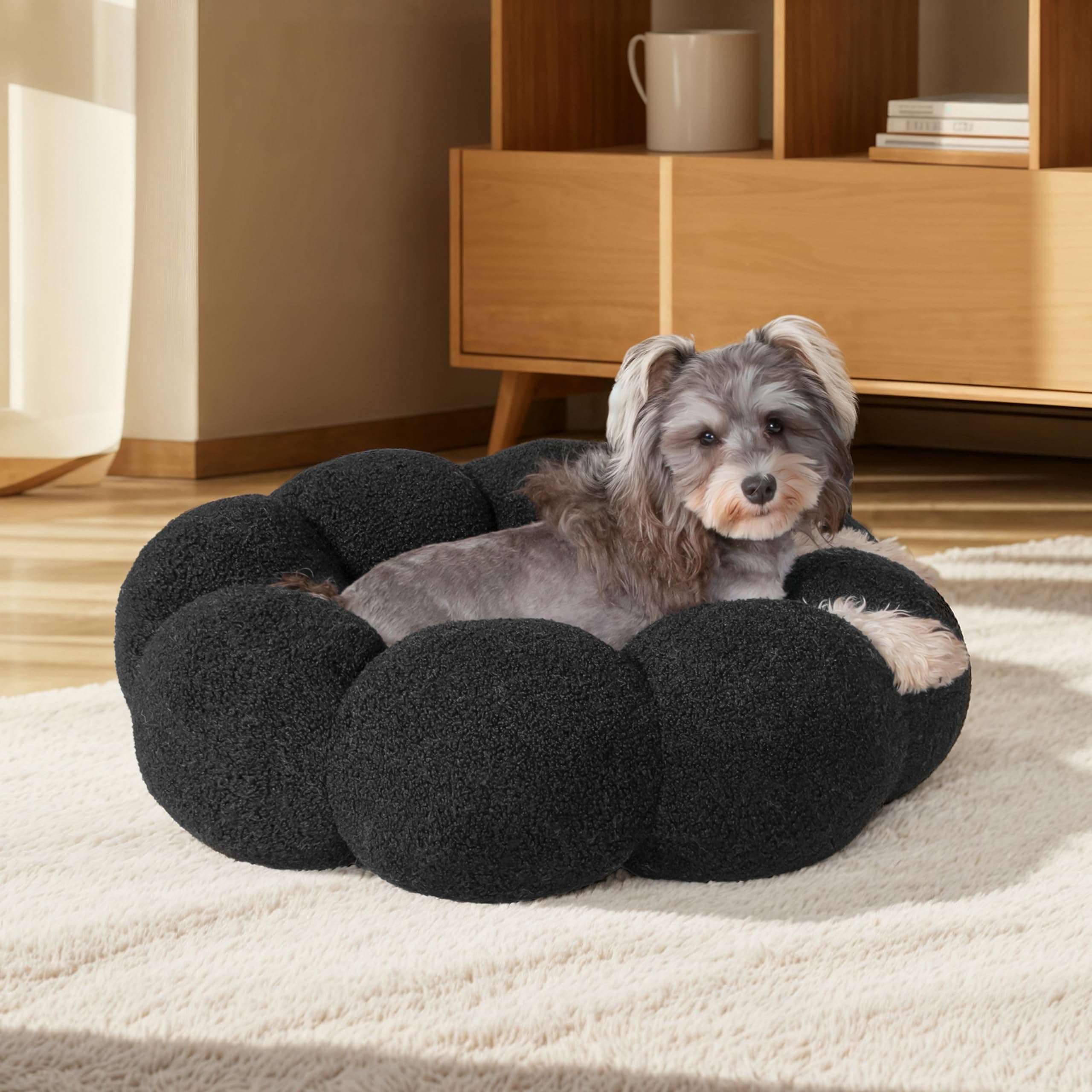 Amazon.com : WESTERN HOME WH Calming Dog Beds for Small Dogs-Fluffy ...