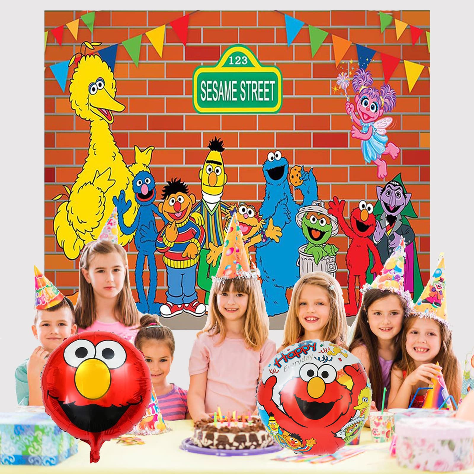 Sesame Street Birthday Party Girl