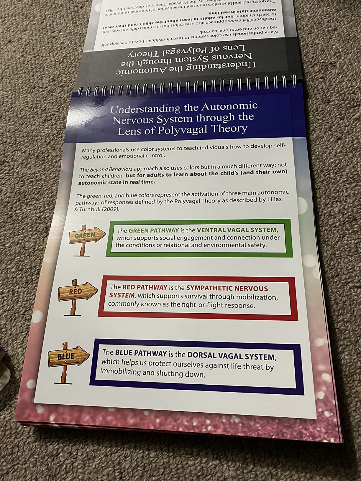 Beyond Behaviors Flip Chart: A Psychoeducational Tool to Help ...