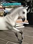 Amazon.com: Breyer Traditional Series Catch Me Model Horse | 13" x 11. ...