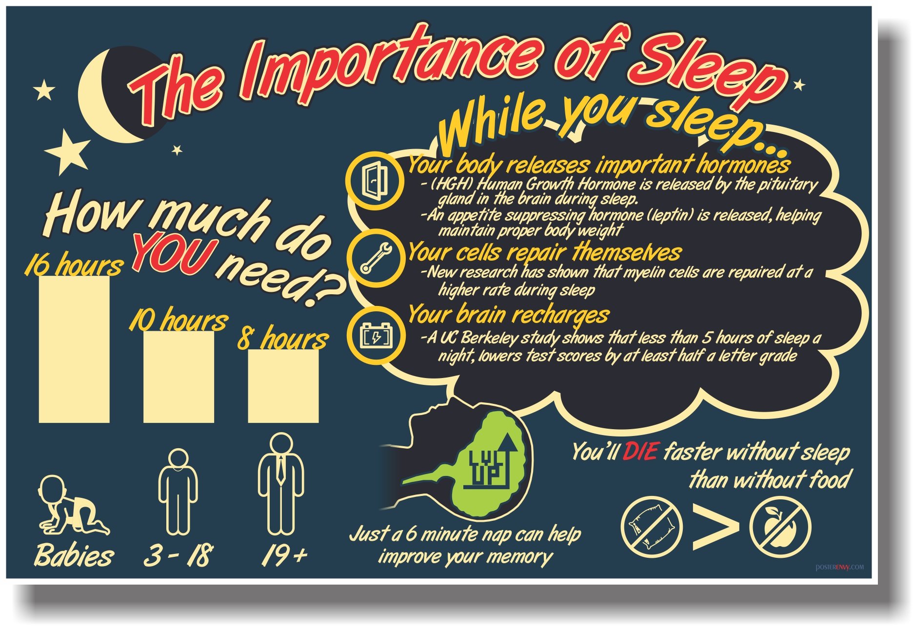 Amazon.com: Importance of Sleep 2 - NEW Health Poster: Posters & Prints