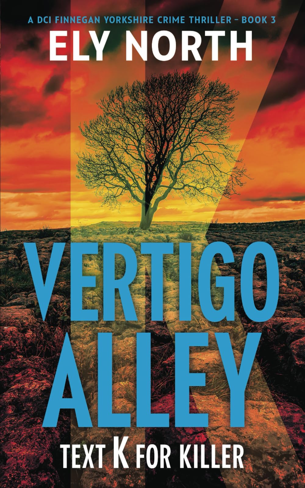 Vertigo Alley: Text K For Killer: A DCI Finnegan Yorkshire Crime ...