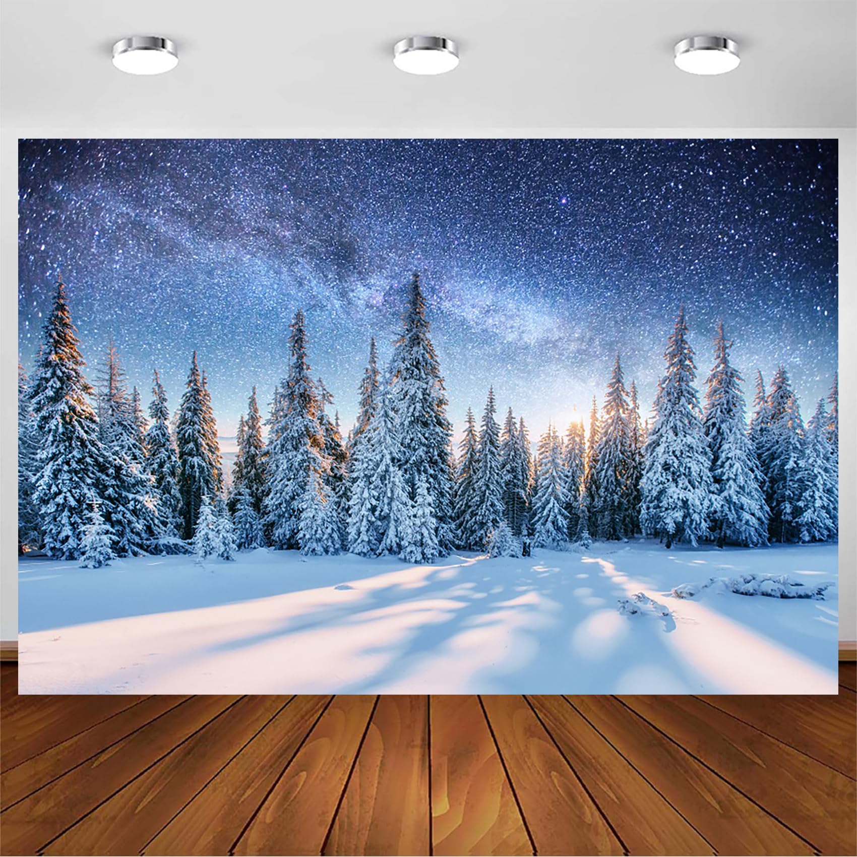 Kiefernwald Zeichnungen Waldprojekte Eqviva