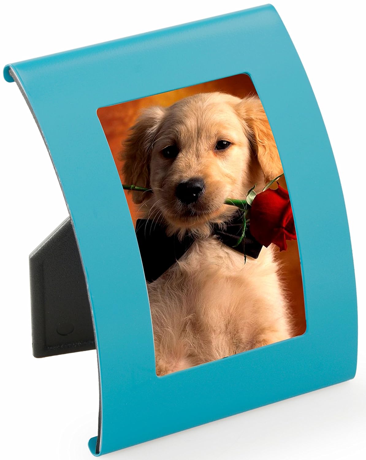 Buy Displays2go Curved Picture Frames 2 By 3 Inch Set Of 24 Online At Buy Displays2go Curved Picture Frames 2 By 3 Inch Set Of 24 Online At