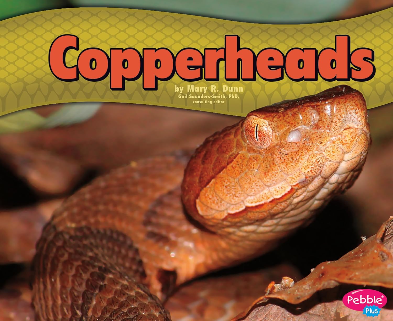 Amazon.com: Copperheads (Snakes) eBook : Dunn, Mary R.: Kindle Store