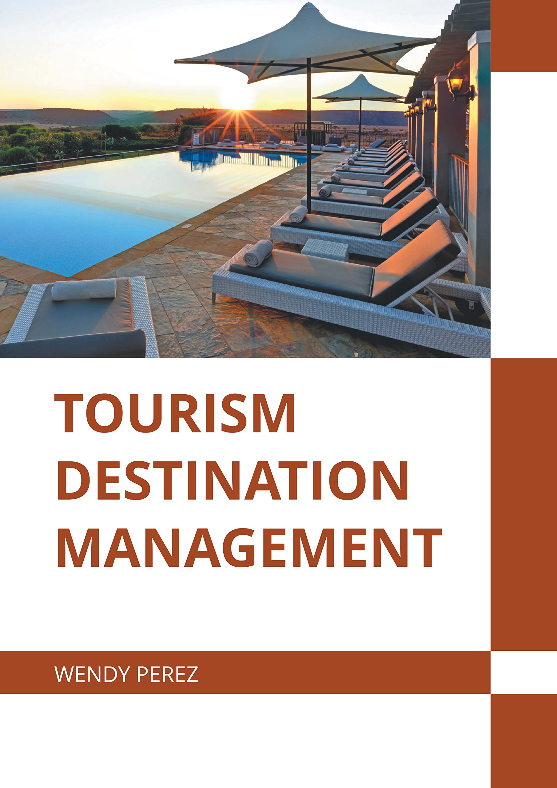 Tourism Destination Management: Perez, Wendy: 9781639895281: Amazon.com ...