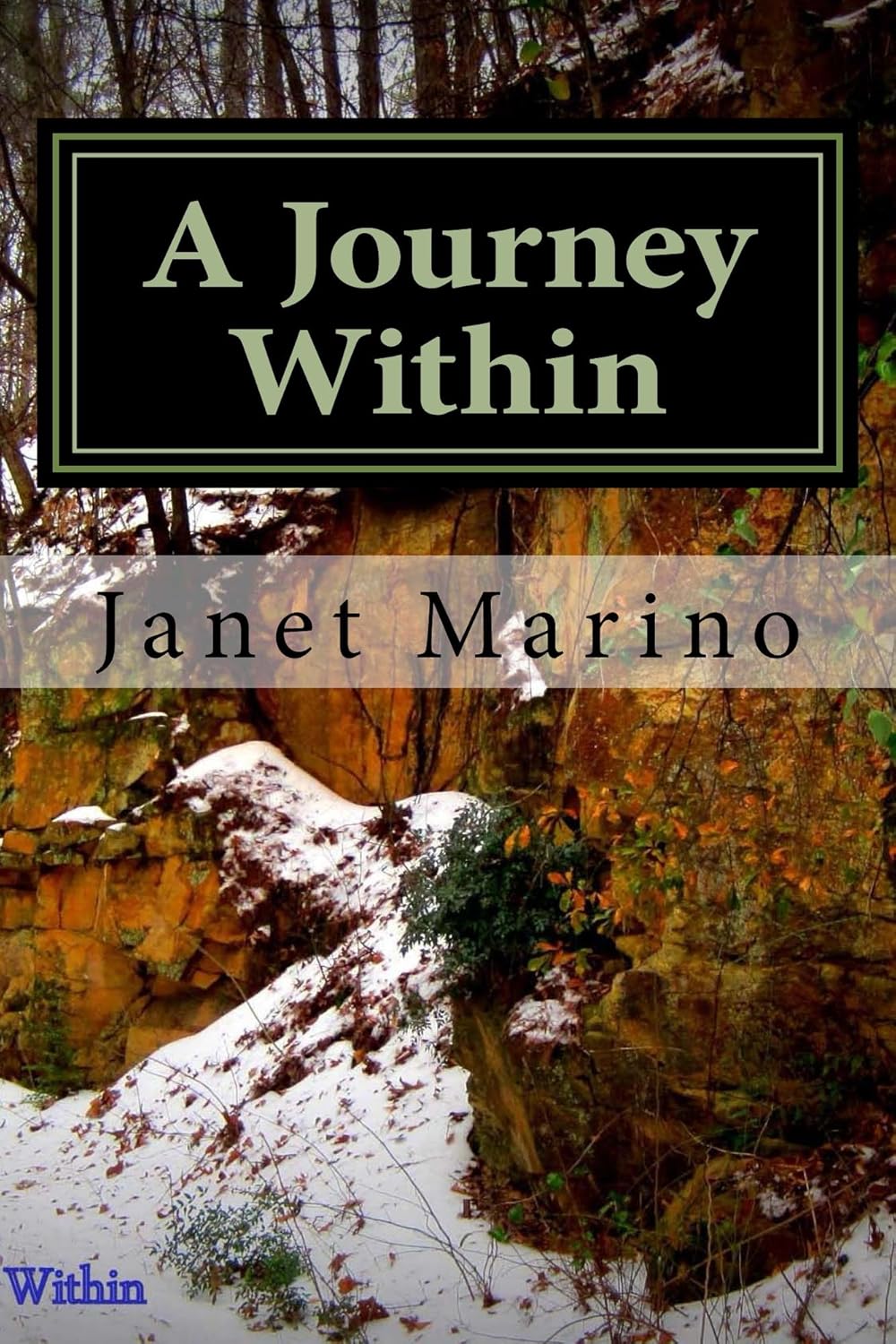 A Journey Within - Kindle edition by Marino, Janet, Brasher, Bianca ...