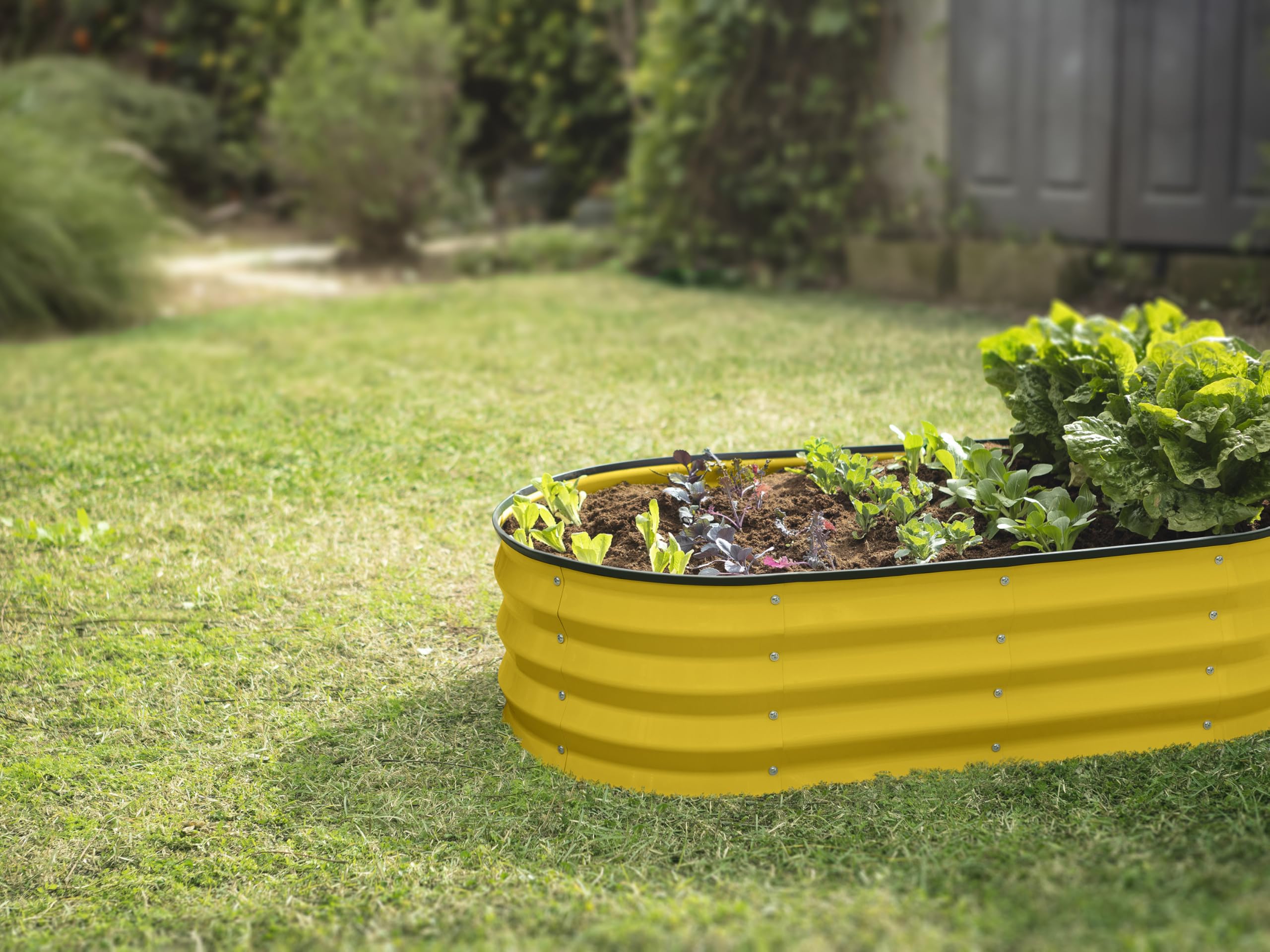 Camas De Jardín Elevadas Modulares Cama De Cultivo “Modular”