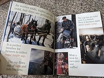 A Tree for All Seasons (Rise and Shine): Robin Bernard: 9780792266747 ...