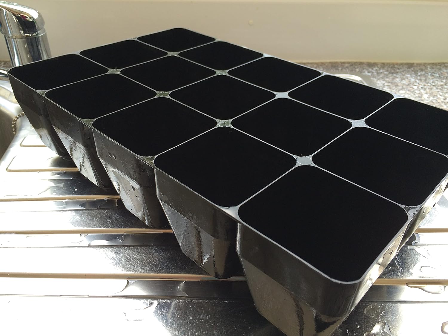 Aeiniweraabbcc TANGDIAABBCC Containerwise Seed Trays for Propagation ...