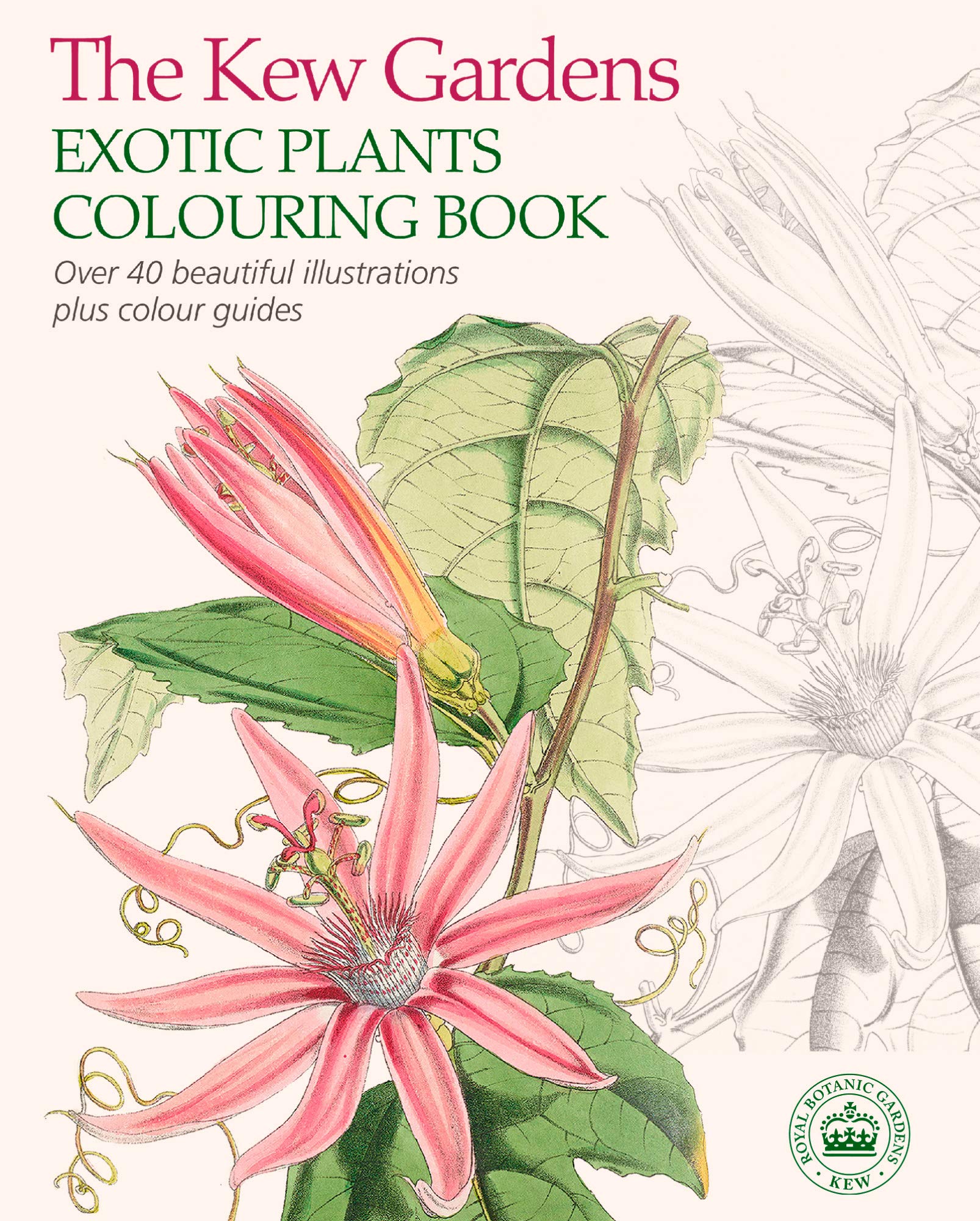 Amazon.com: Kew Gardens Exotic Plants Colouring Book: 9781784045654 ...