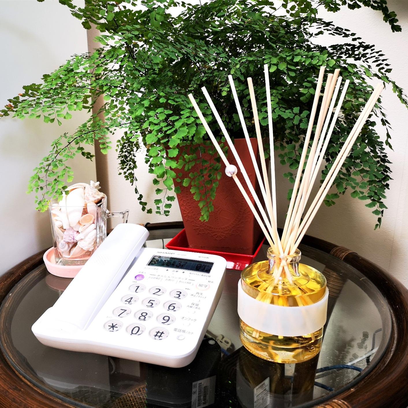 Amazon.co.jp: APOTHIA Diffuser Normal PLUSH (アポーシア ディフューザー ノーマル プラッシュ) : ホーム＆キッチン