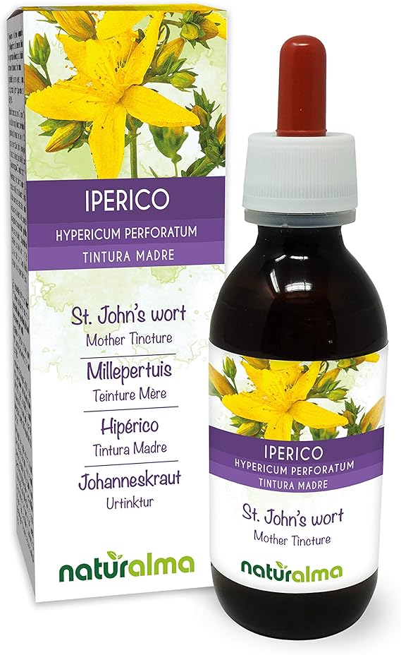 Iperico o erba di San Giovanni (Hypericum perforatum) erba con fiori ...