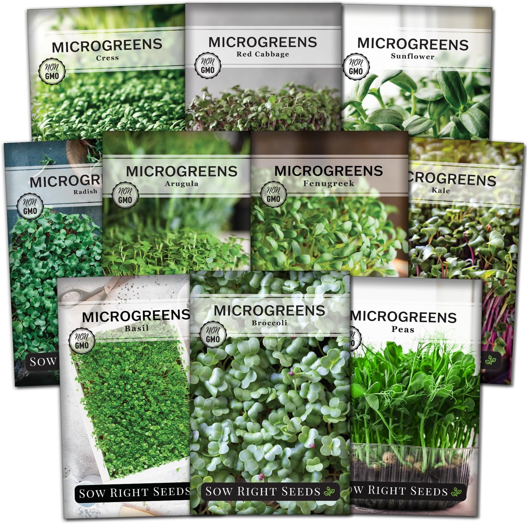 Amazon.com : 12 Variety Pack Microgreens Seeds Kit - Broccoli Seeds for ...