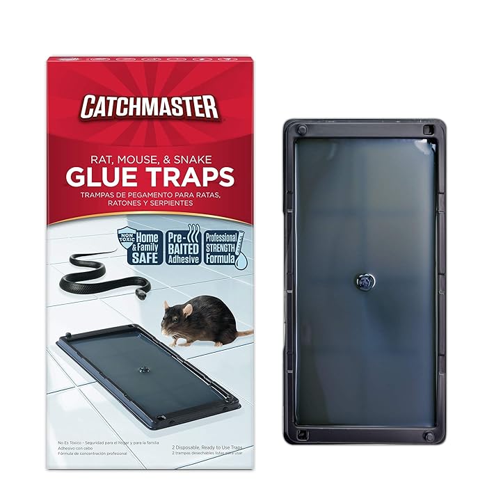 Buy Catchmaster 402 Baited Rat, Mouse and Snake Glue Traps Professional ...