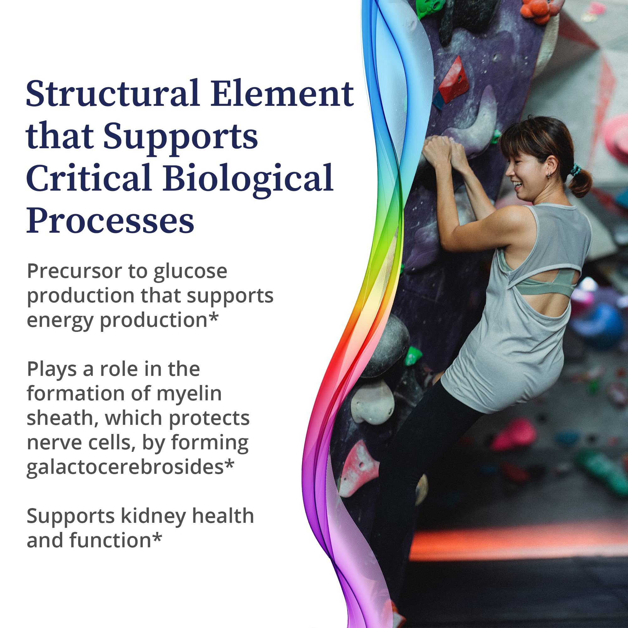 BioPure Galactose – Essential Natural Sugar Monosaccharide Dietary ...