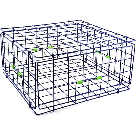 Amazon.com : Danielson 24" Fold-Up Pacific Coast Crab Trap | Vinyl ...