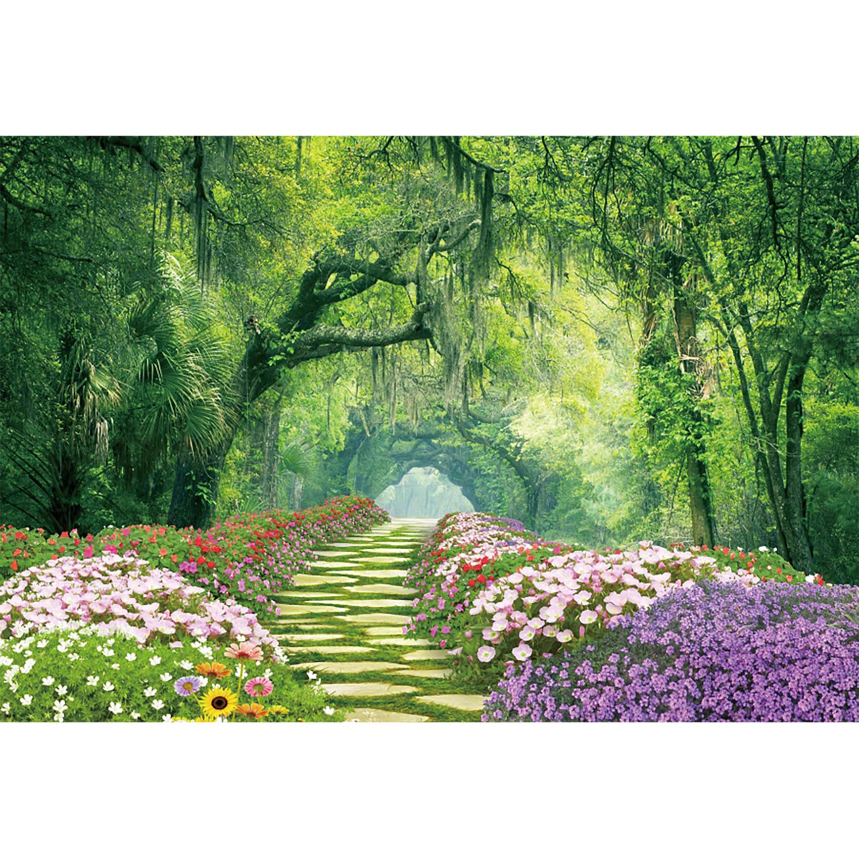 Photos De Paysages Printaniers Paysage Printanier Avec Champs De Colza