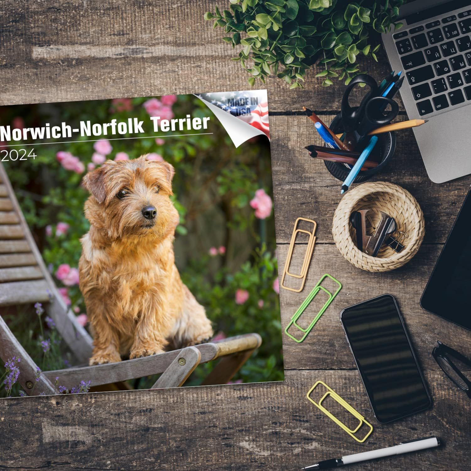 Snapklik.com : 2022 2023 Norwich,Norfolk Calendar,Dog Breed Monthly ...