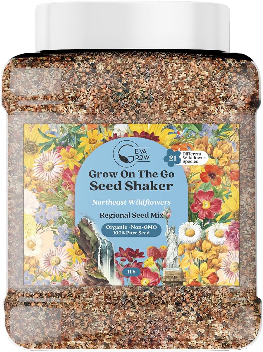 Amazon.com : Bulk Regional Wildflower Seed Tub - Northeast Wildflower Seeds Organic, Non-GMO 100 ...