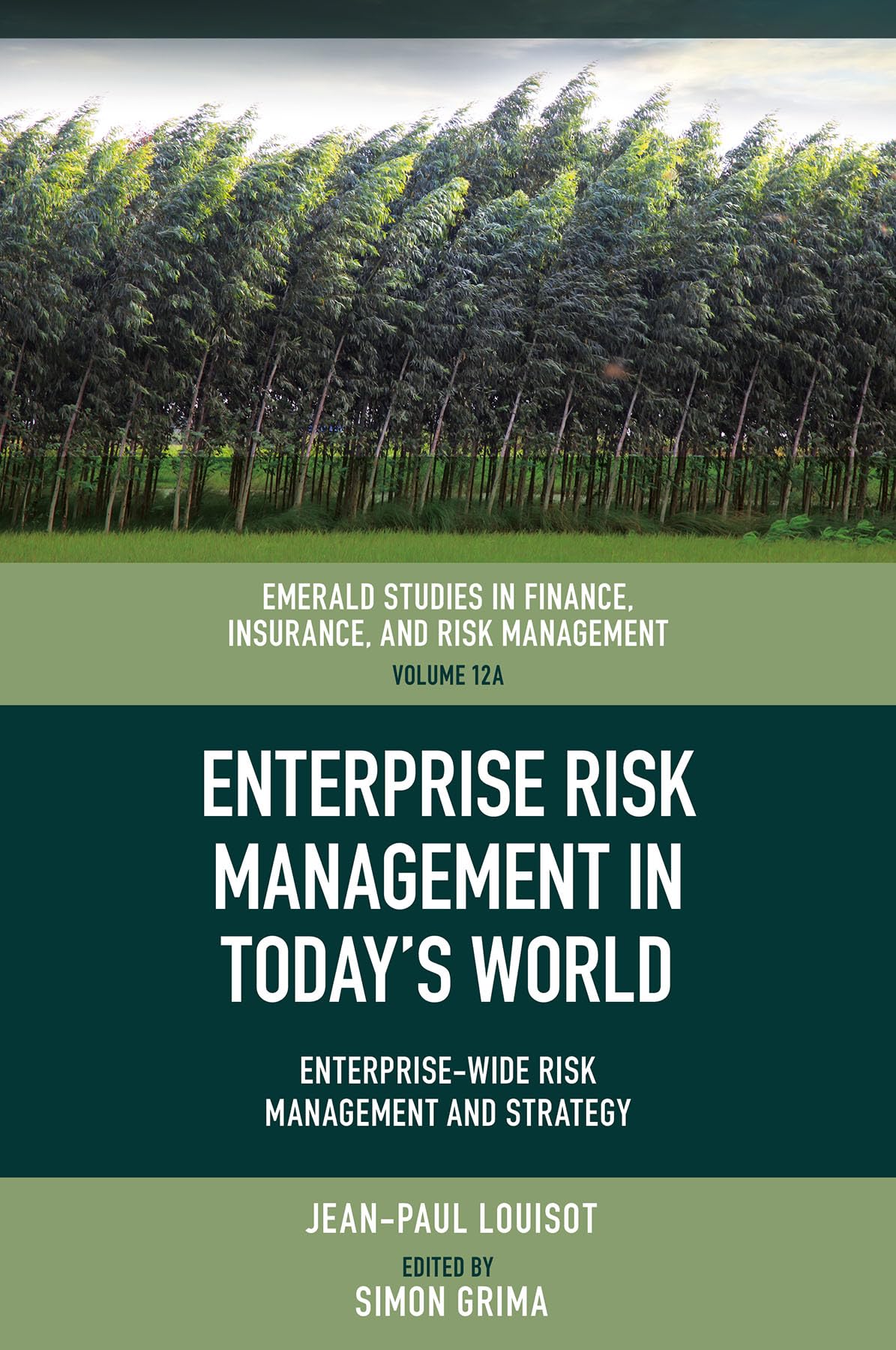 Amazon.com: Enterprise Risk Management in Today’s World: Enterprise ...