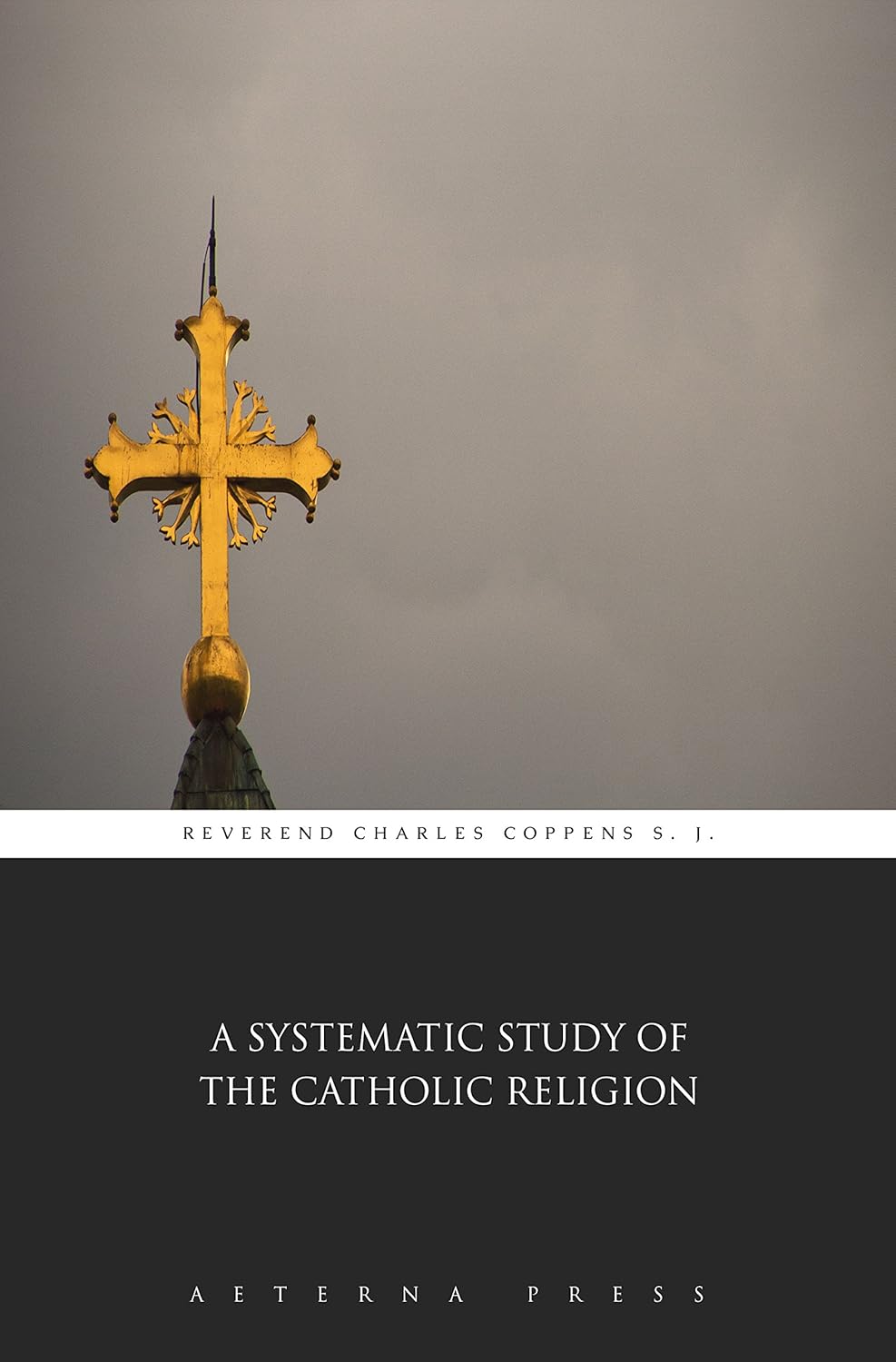 A Systematic Study of the Catholic Religion (Illustrated) - Kindle ...