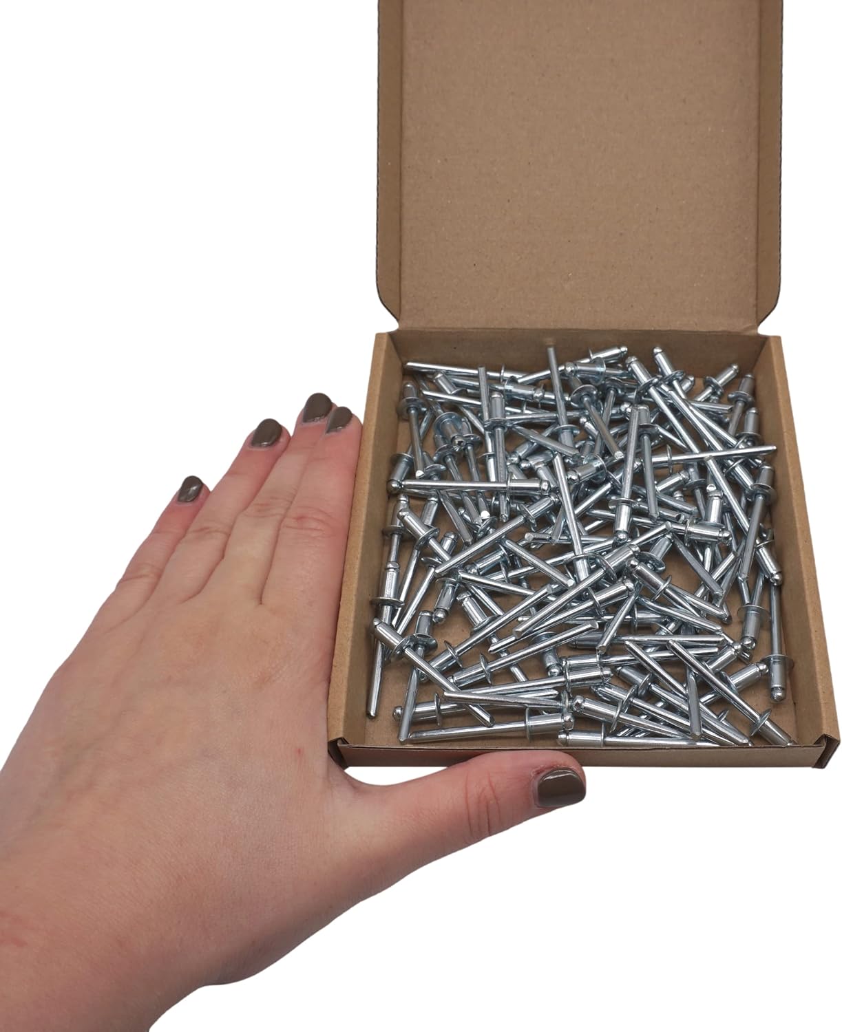 (Pack of 100 pcs) Blind Rivets 4.8 x 8 mm, Open Dome Head, Pop Rivets ...