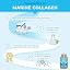 Marine Collagen Capsules Hydrolysed Marine Collagen With Vitamin C E ...