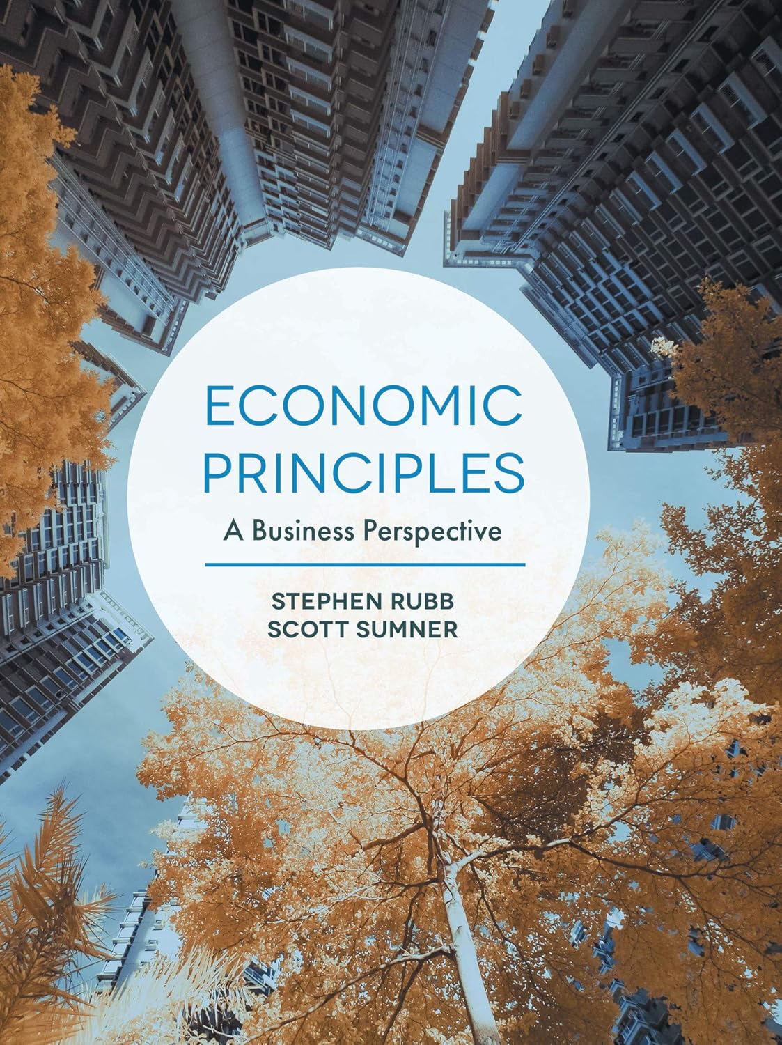 Amazon.com: Economic Principles: A Business Perspective: 9781319243593 ...