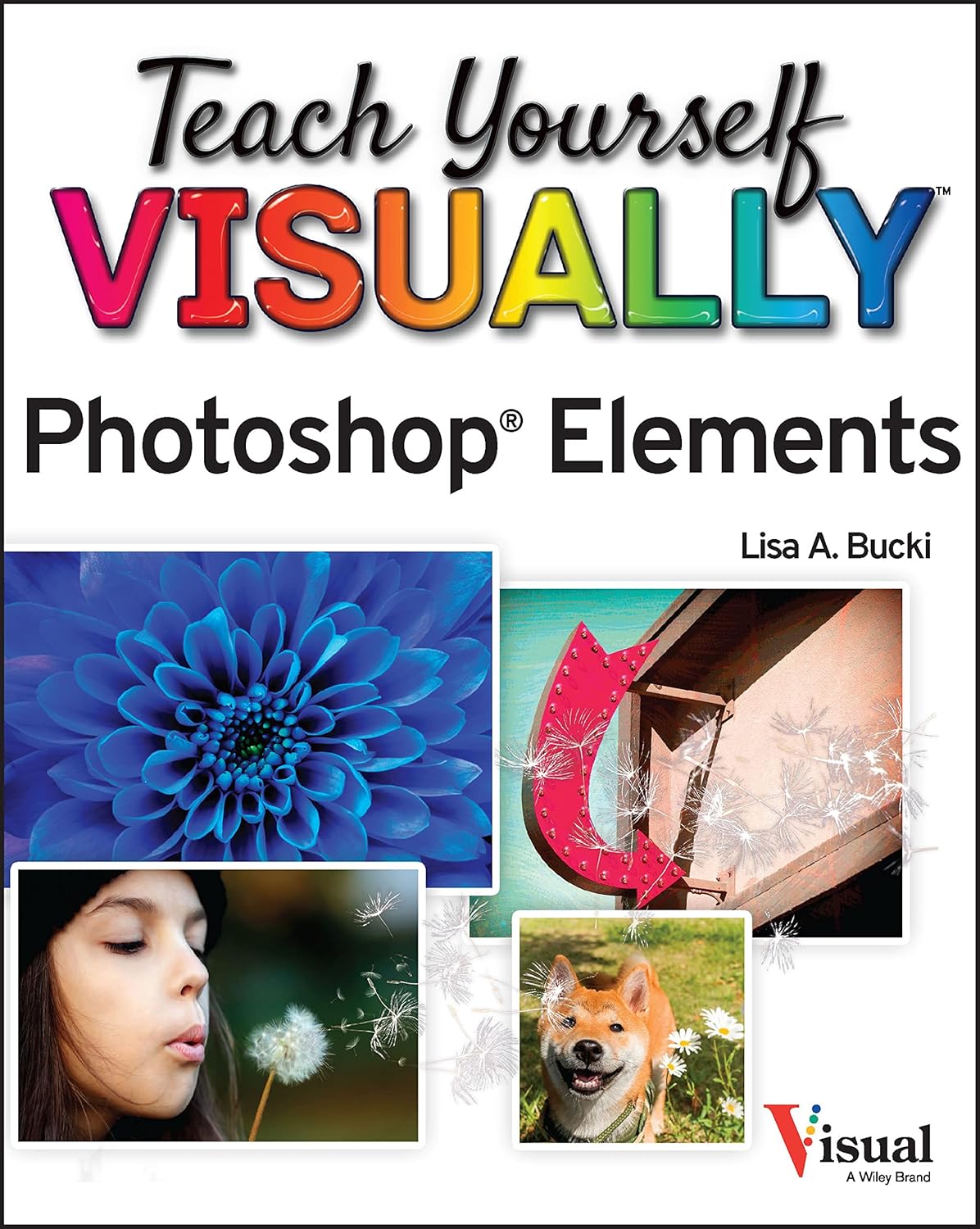 Teach Yourself VISUALLY Photoshop Elements 2023: Bucki, Lisa A ...