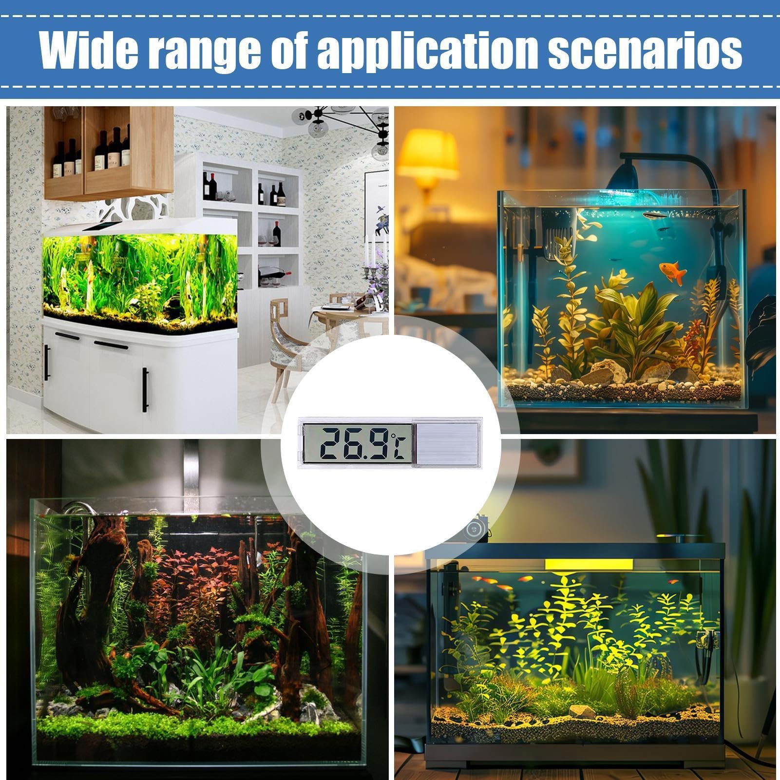 Indoor Fish Tank Temperature